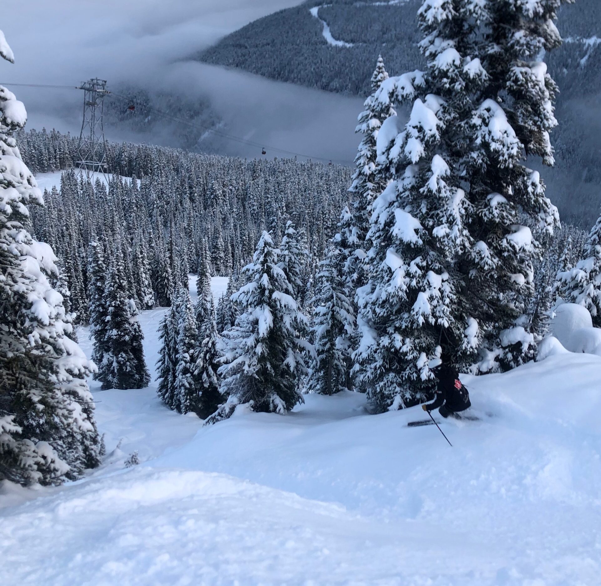 WHAT’S NEW IN BC/YUKON? - CSIA Communique